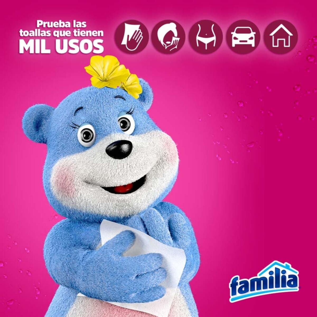 PANITOS HUMEDOS FAMILIA ACTIVE MIL USOS PQTE X 10 UND